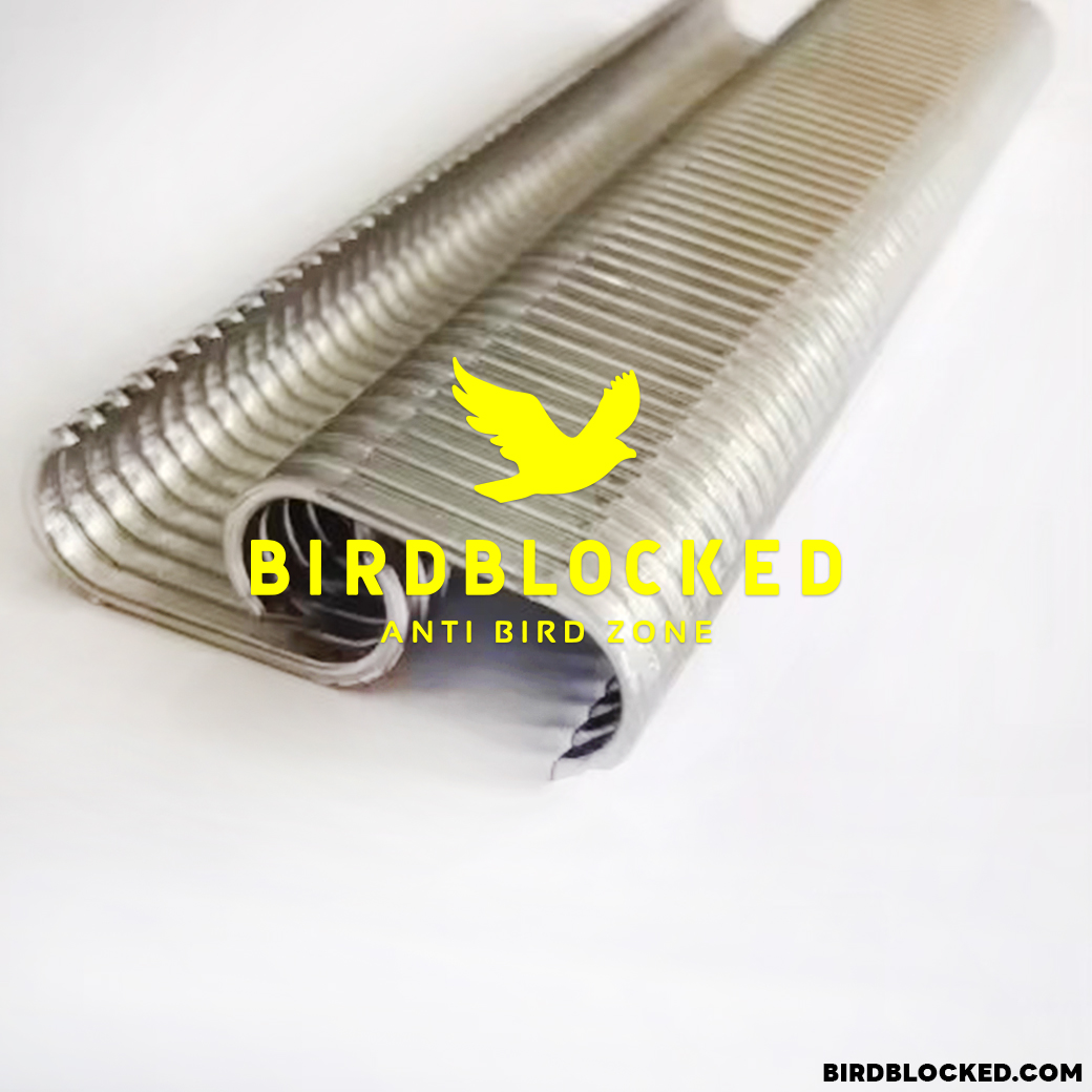 อุปกรณ์ไล่นก หนามกันนก ตาข่ายกันนก ราคาถูก | BIRDBLOCKED